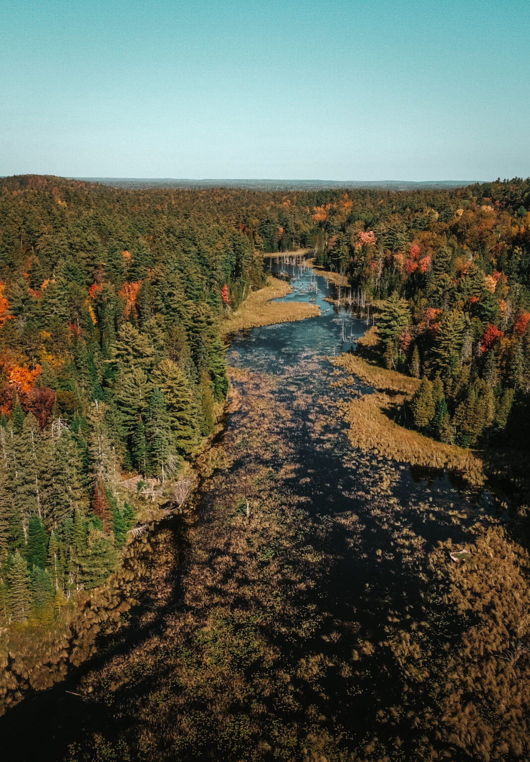 Fall in Calabogie: Top Activities to Experience This Autumn