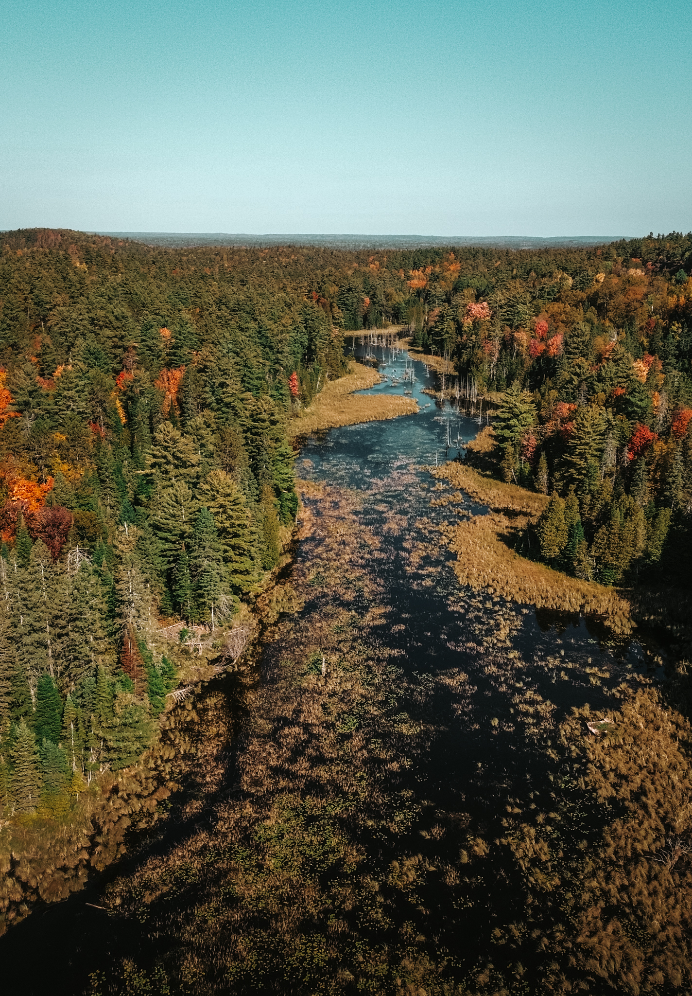 Fall in Calabogie: Top Activities to Experience This Autumn