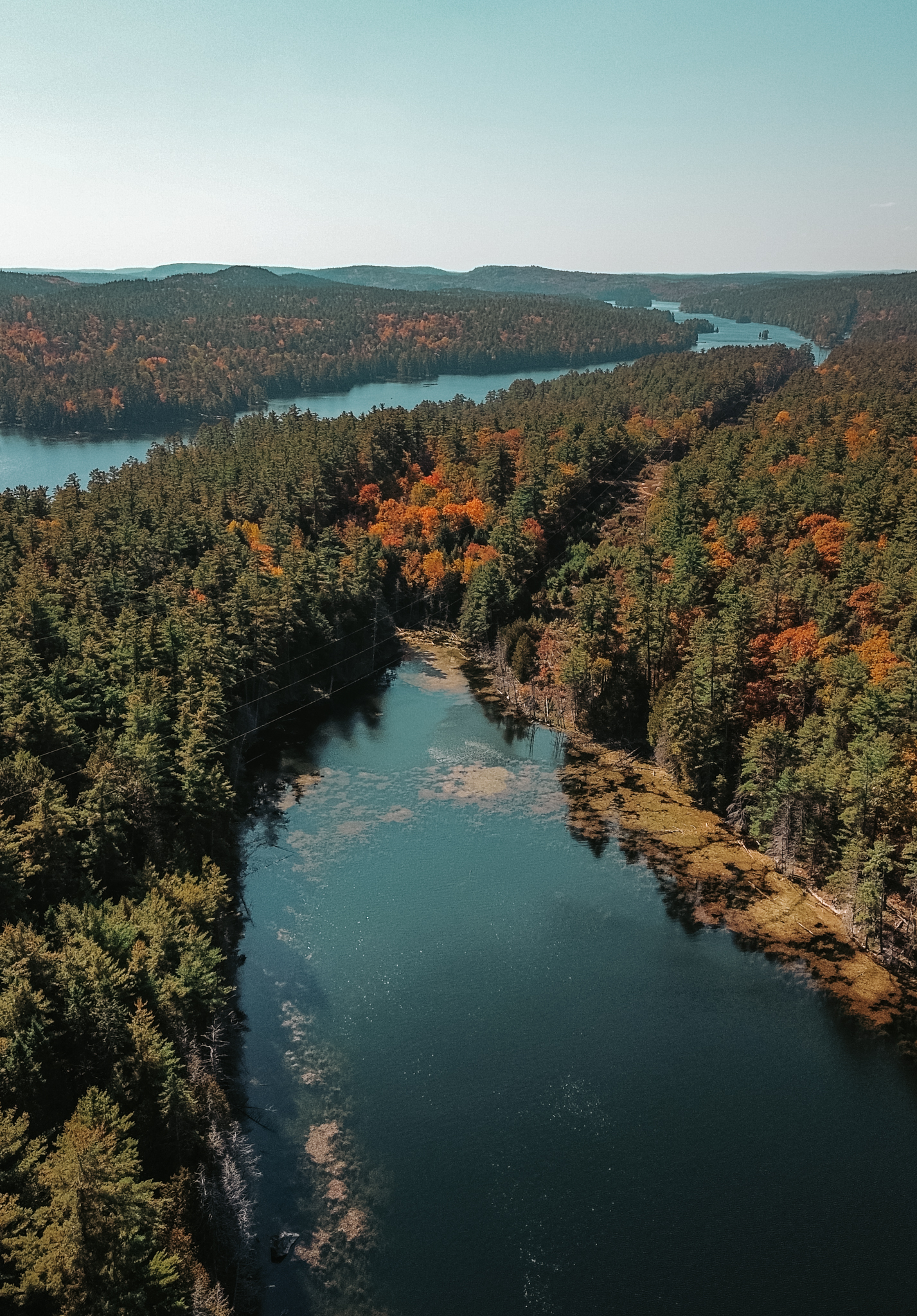 Fall in Calabogie: Top Activities to Experience This Autumn