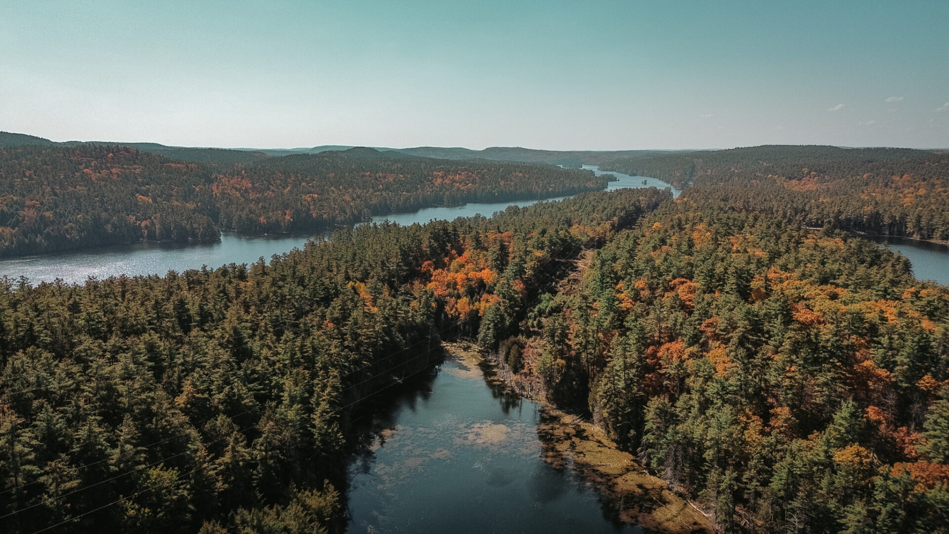 Fall in Calabogie: Top Activities to Experience This Autumn