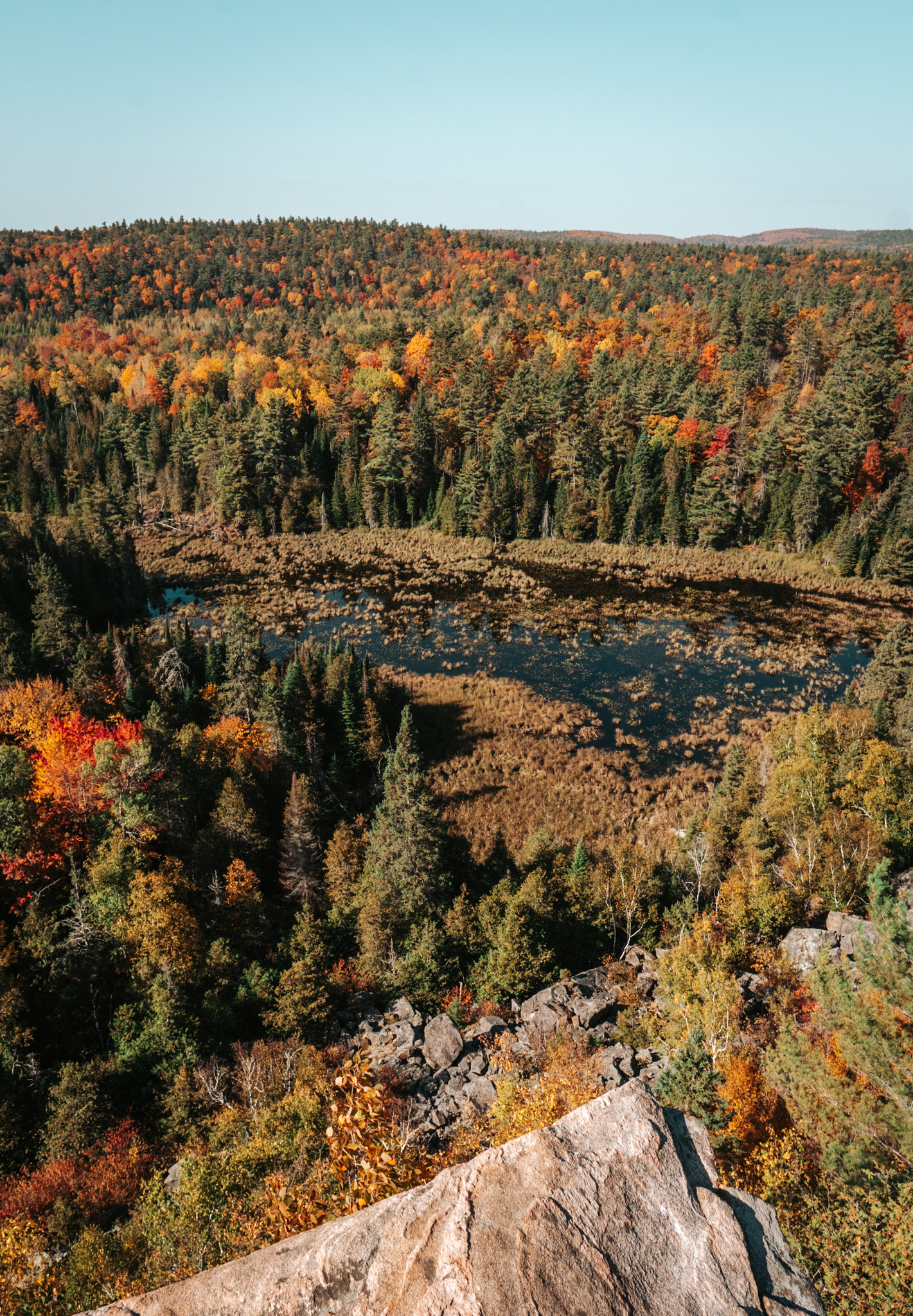 Fall in Calabogie: Top Activities to Experience This Autumn