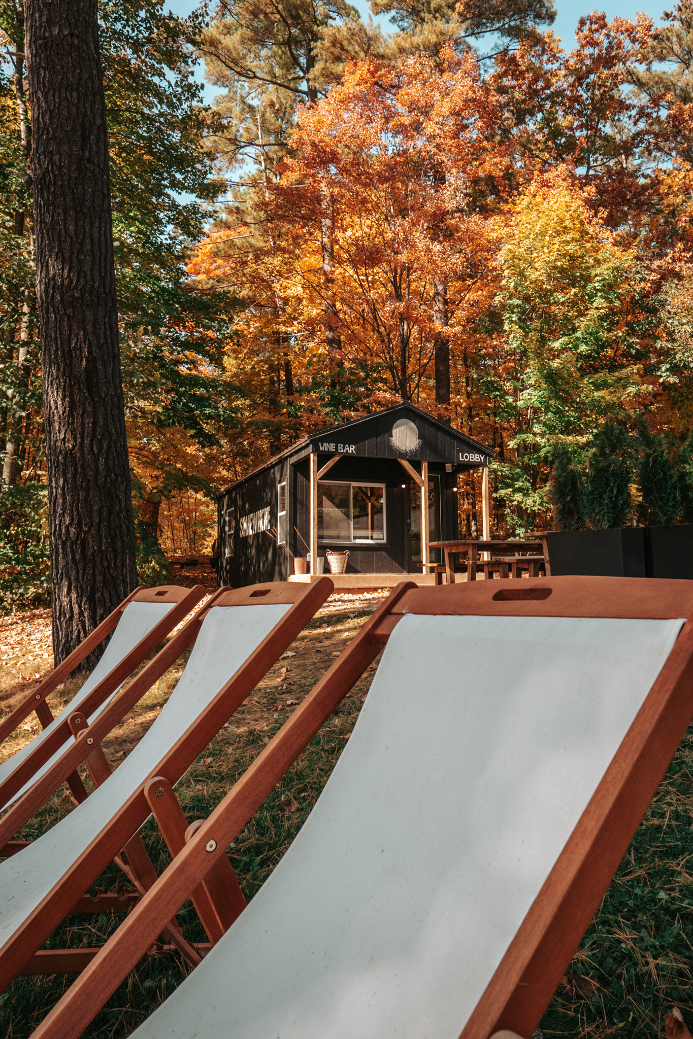 Fall in Calabogie: Top Activities to Experience This Autumn