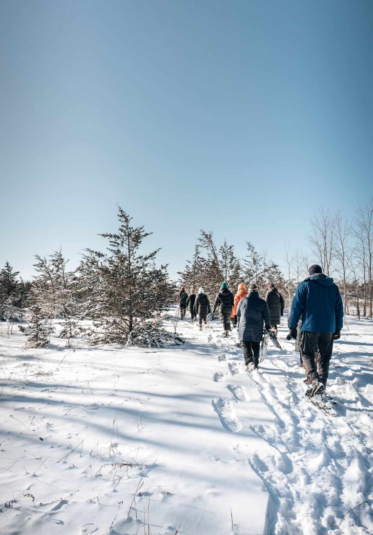Winter in Prince Edward County: The Perfect Getaway Guide