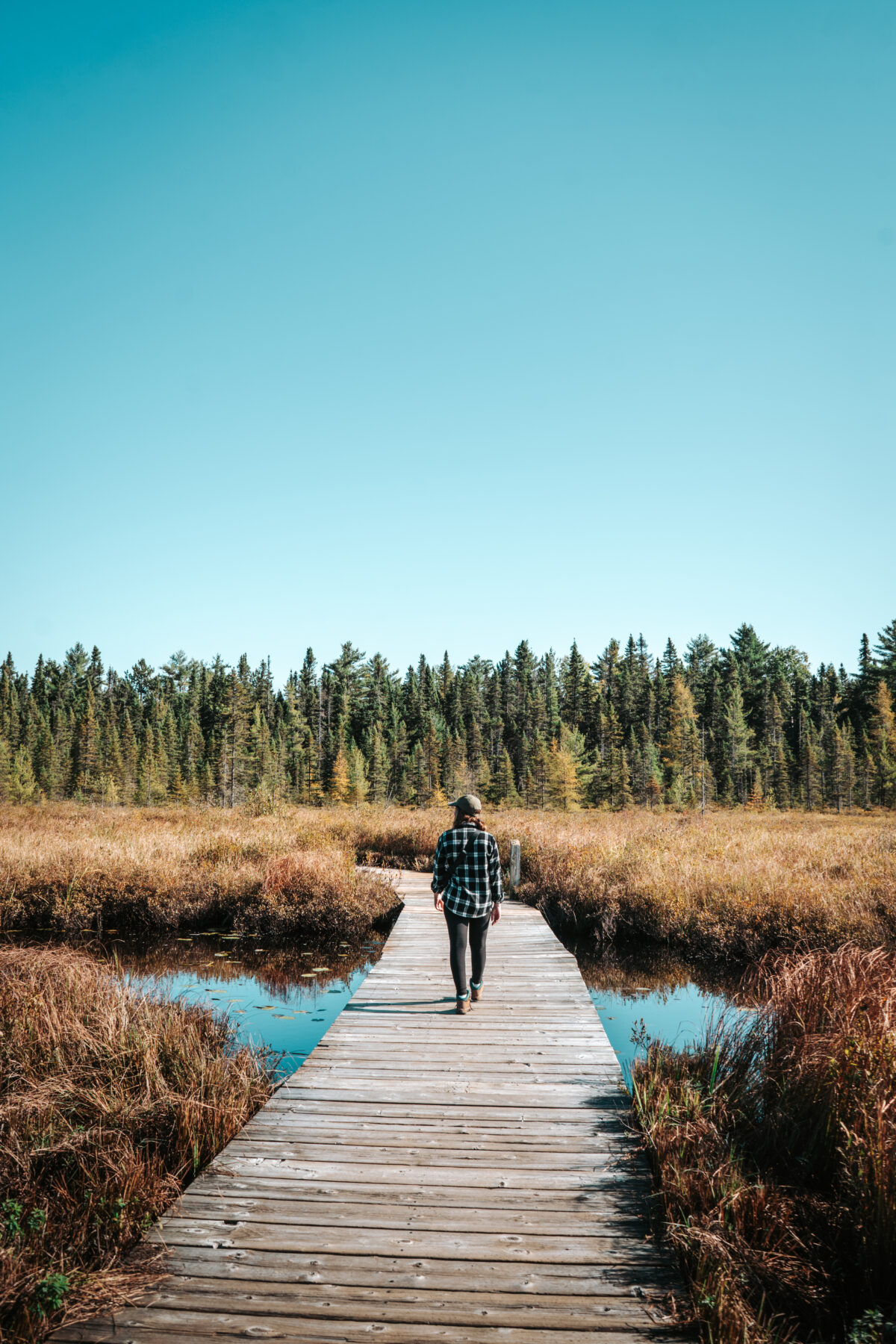 10 choses essentielles à savoir avant de visiter l’Ontario