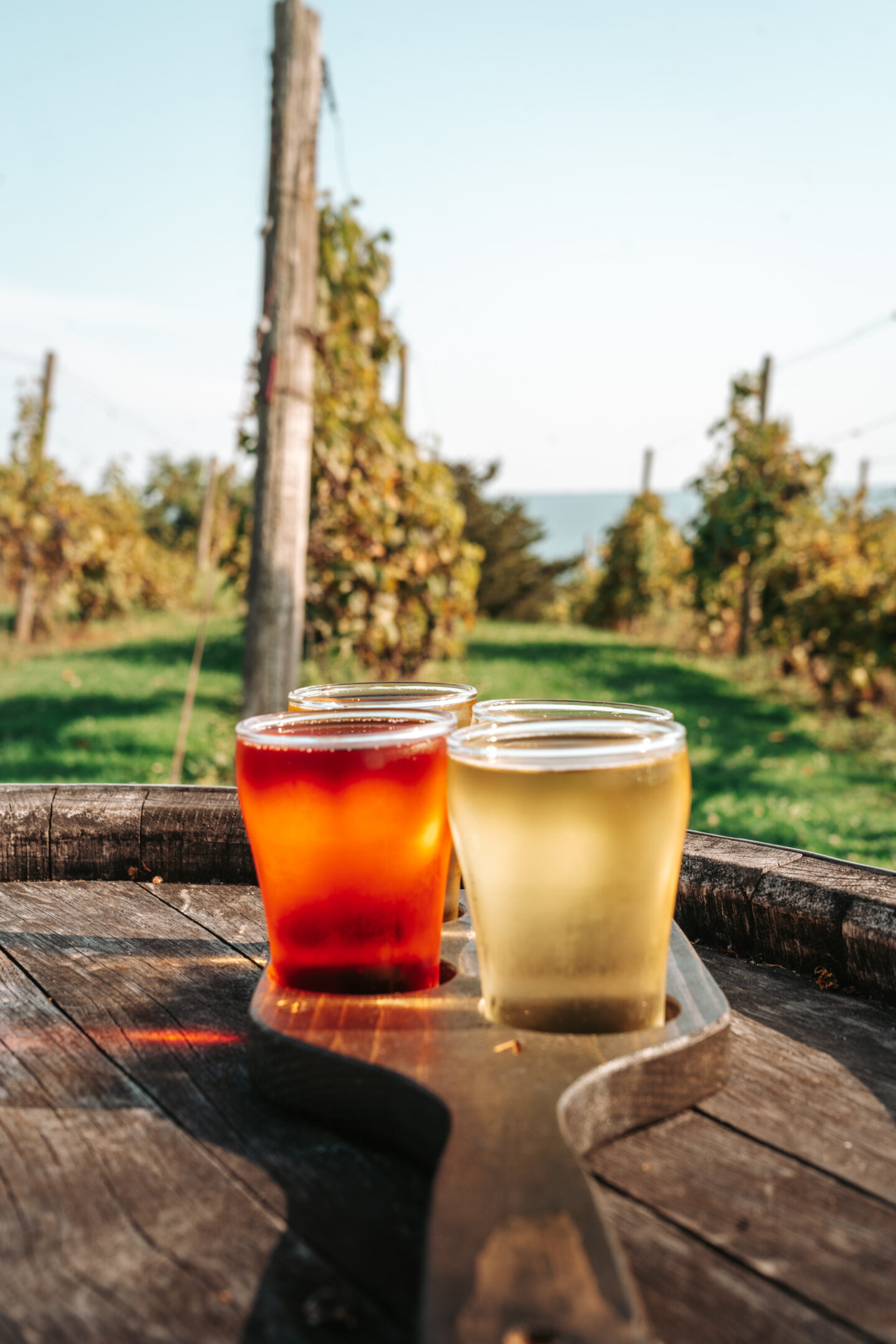 12 Best Things to Do in Prince Edward County this Summer