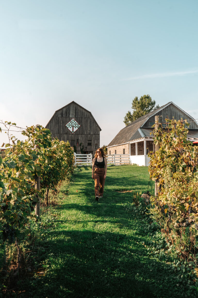 12 Best Things to Do in Prince Edward County this Summer
