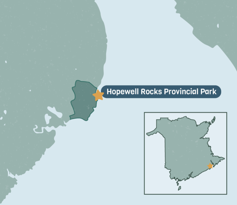 Quick Guide to Visiting Hopewell Rocks Provincial Park