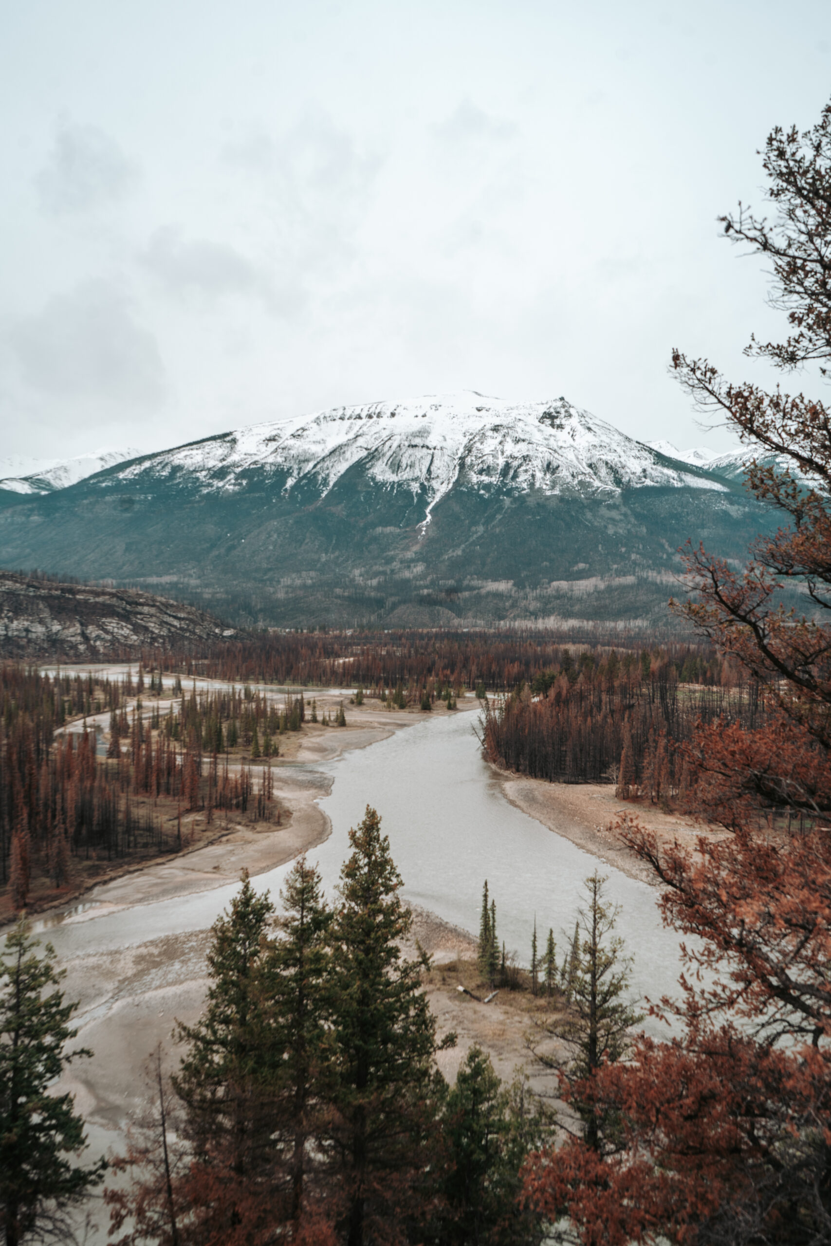 Ce qu’il faut savoir avant de visiter le parc national de Jasper en ...