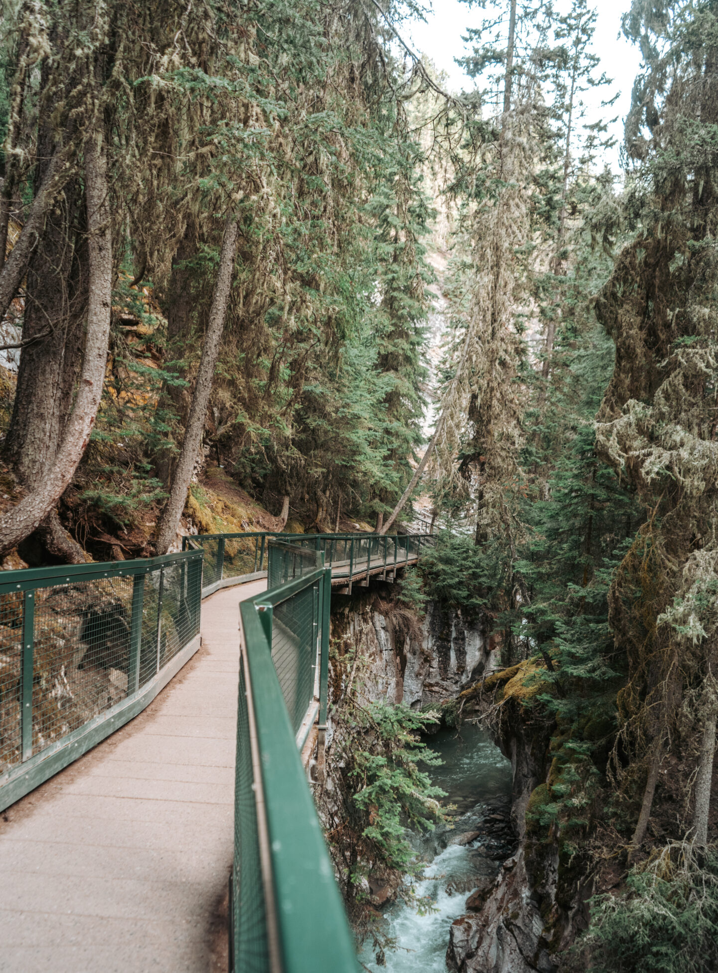 Complete Guide to Hiking Johnston Canyon in Banff National Park