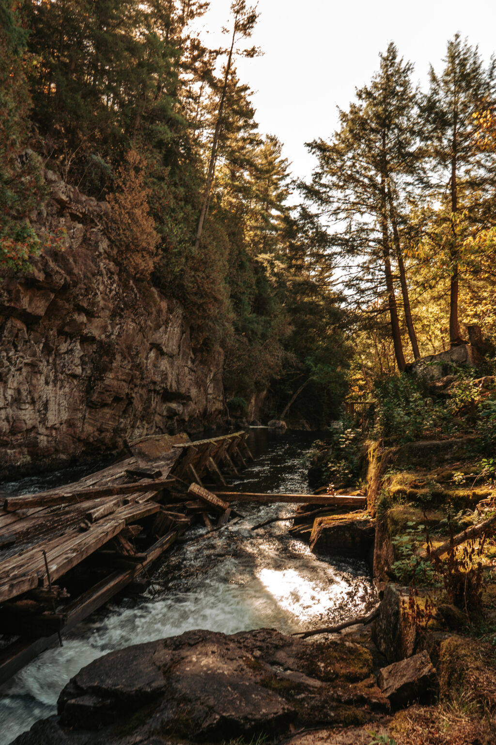 Top Things to Do in Haliburton : A Complete Guide to Haliburton Highlands