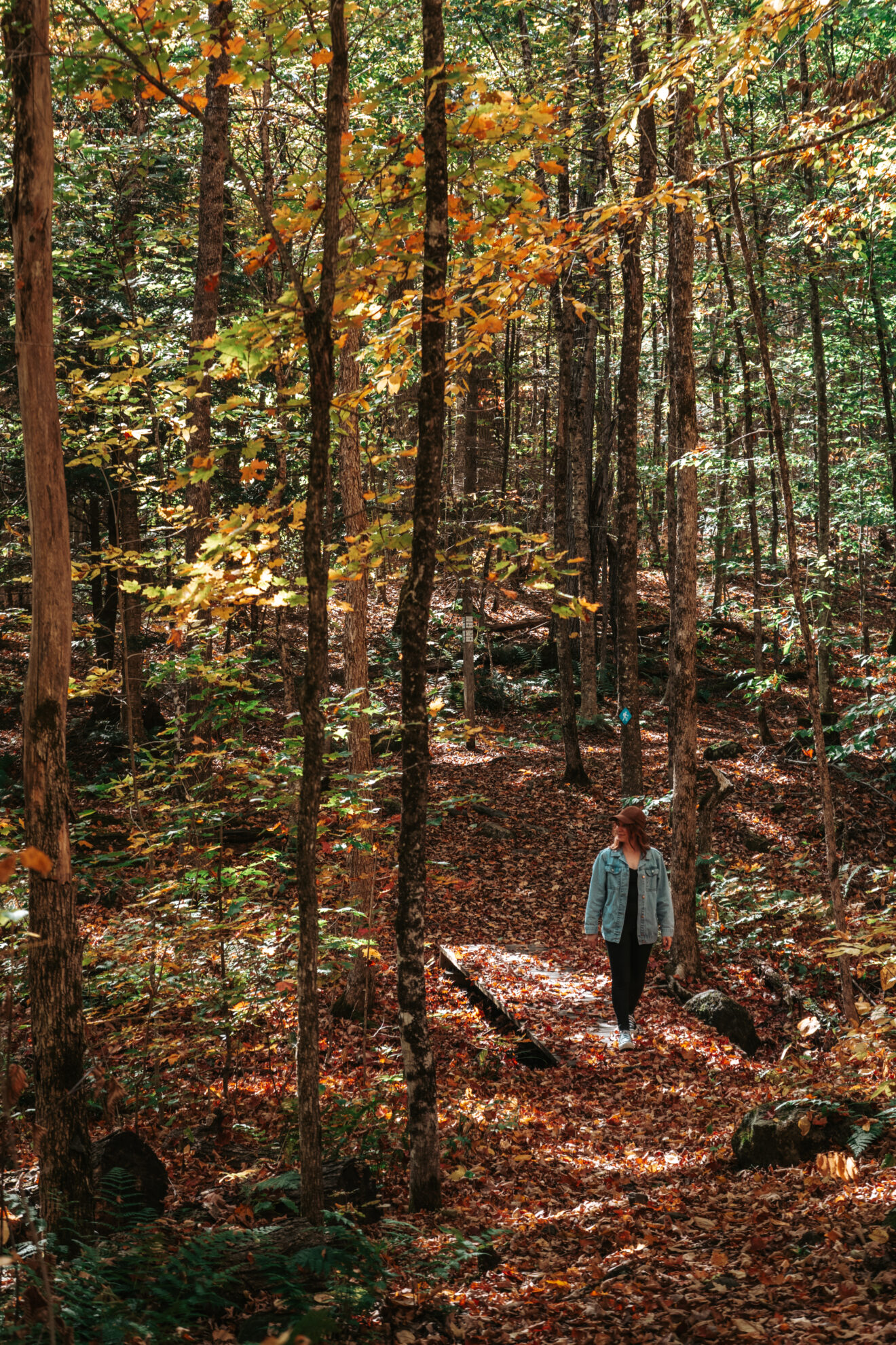 Top Things to Do in Haliburton : A Complete Guide to Haliburton Highlands
