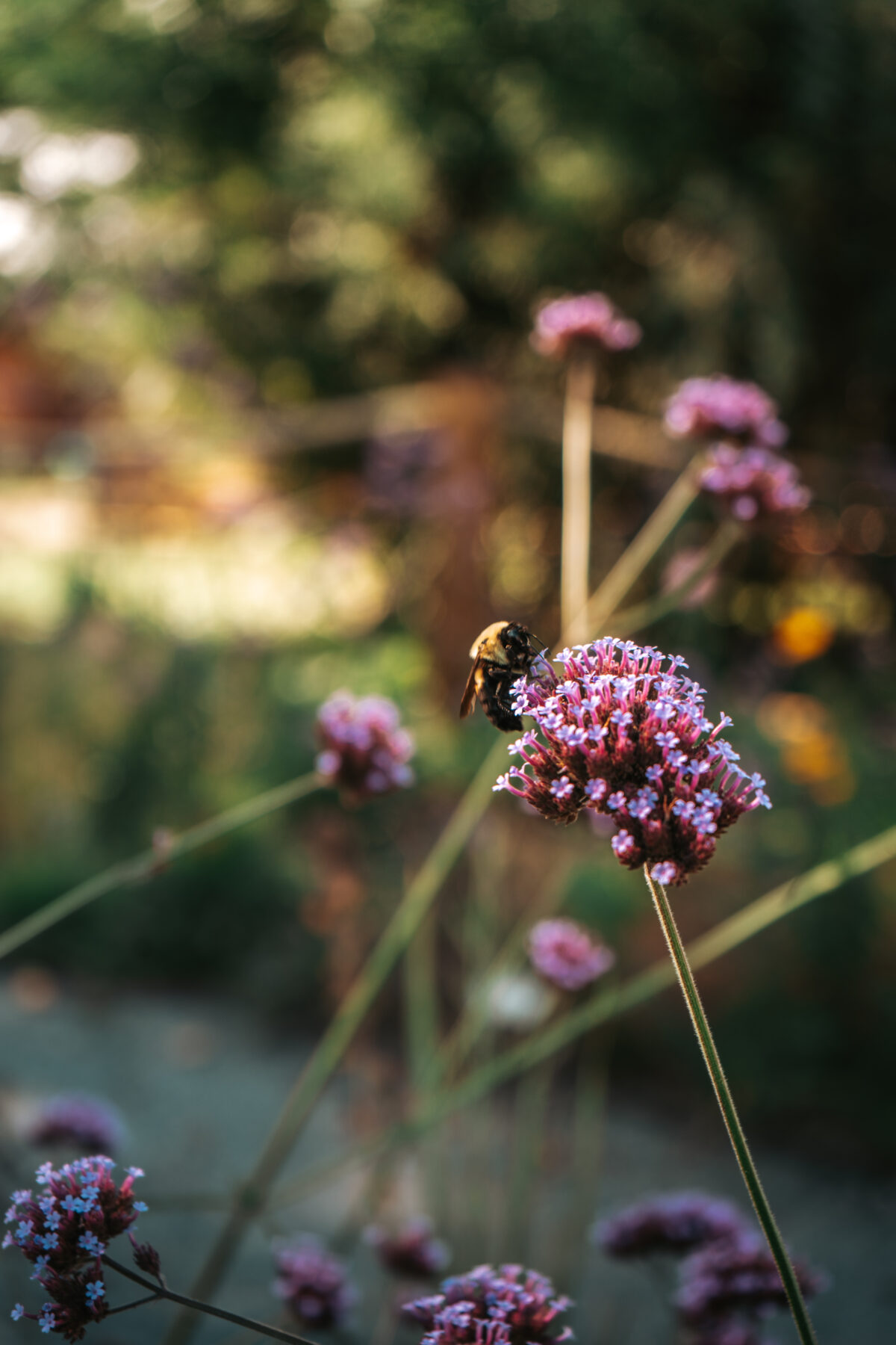 Top Things to Do in Haliburton : A Complete Guide to Haliburton Highlands